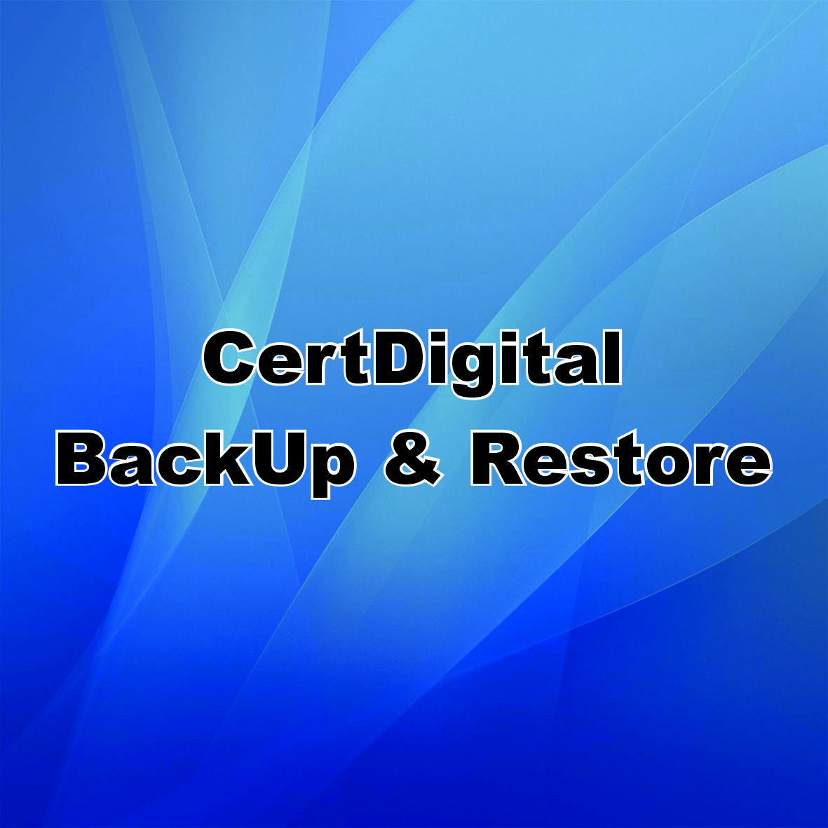 CertDigital BackUp - CertDigital
